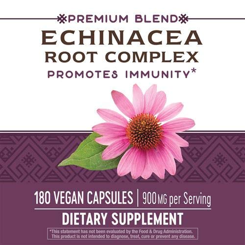 Echinacea for seasonal health support