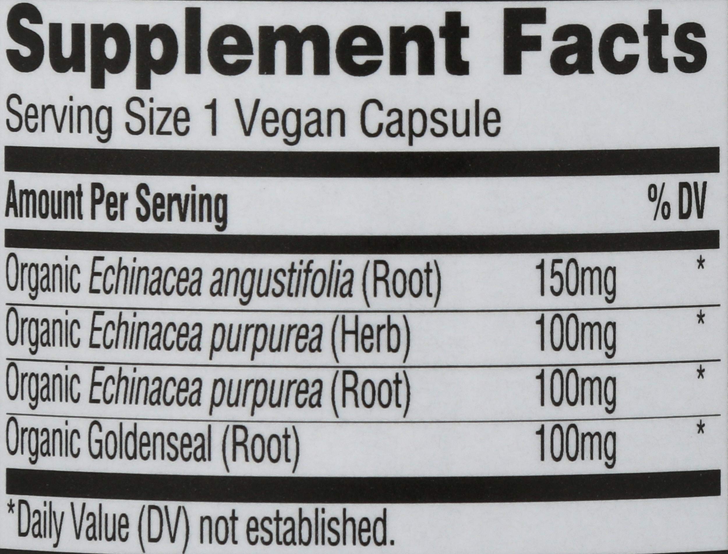 Echinacea for seasonal wellness boost