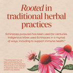 echinacea for seasonal wellness