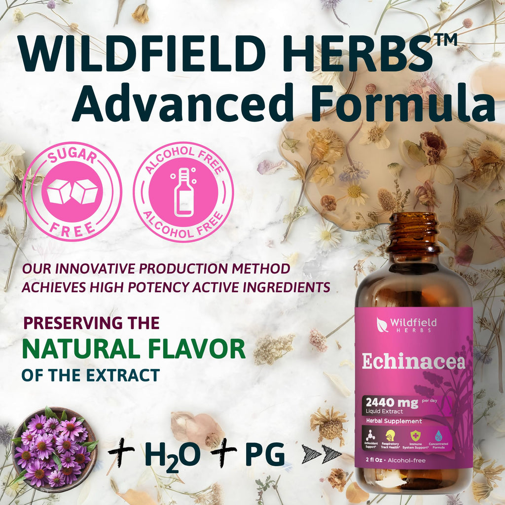 echinacea for seasonal wellness