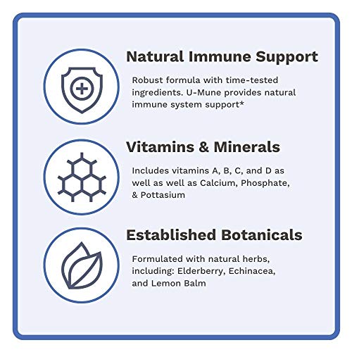 Echinacea for seasonal wellness