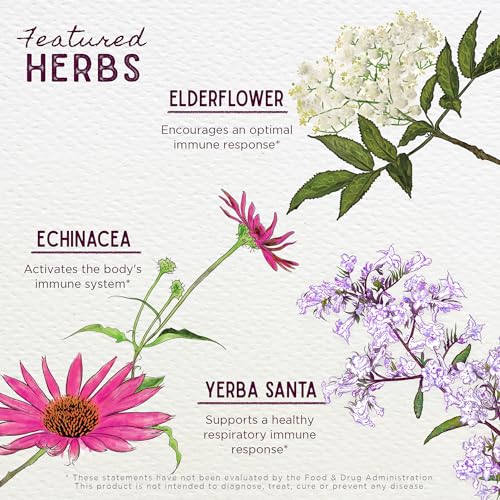 Echinacea for seasonal wellness