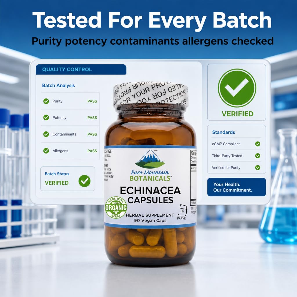 echinacea for seasonal wellness