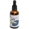 Echinacea glycerin extract for wellness