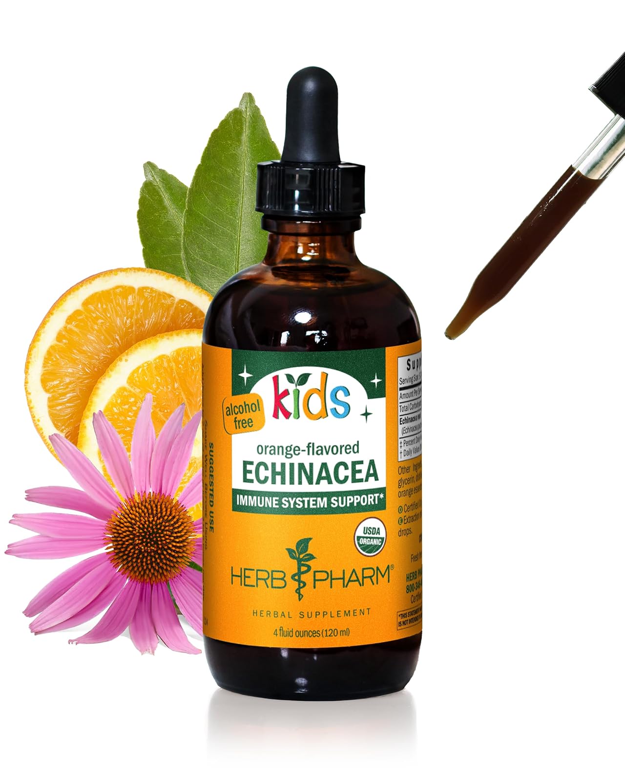 echinacea glycerite alcohol-free extract