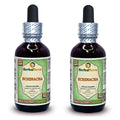 Echinacea glycerite for immune support
