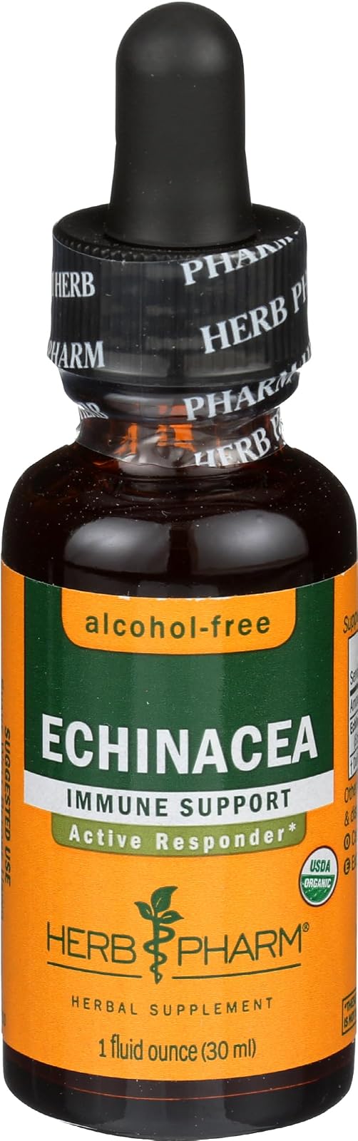 Echinacea glycerite herbal supplement