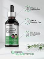 echinacea goldenseal for respiratory support