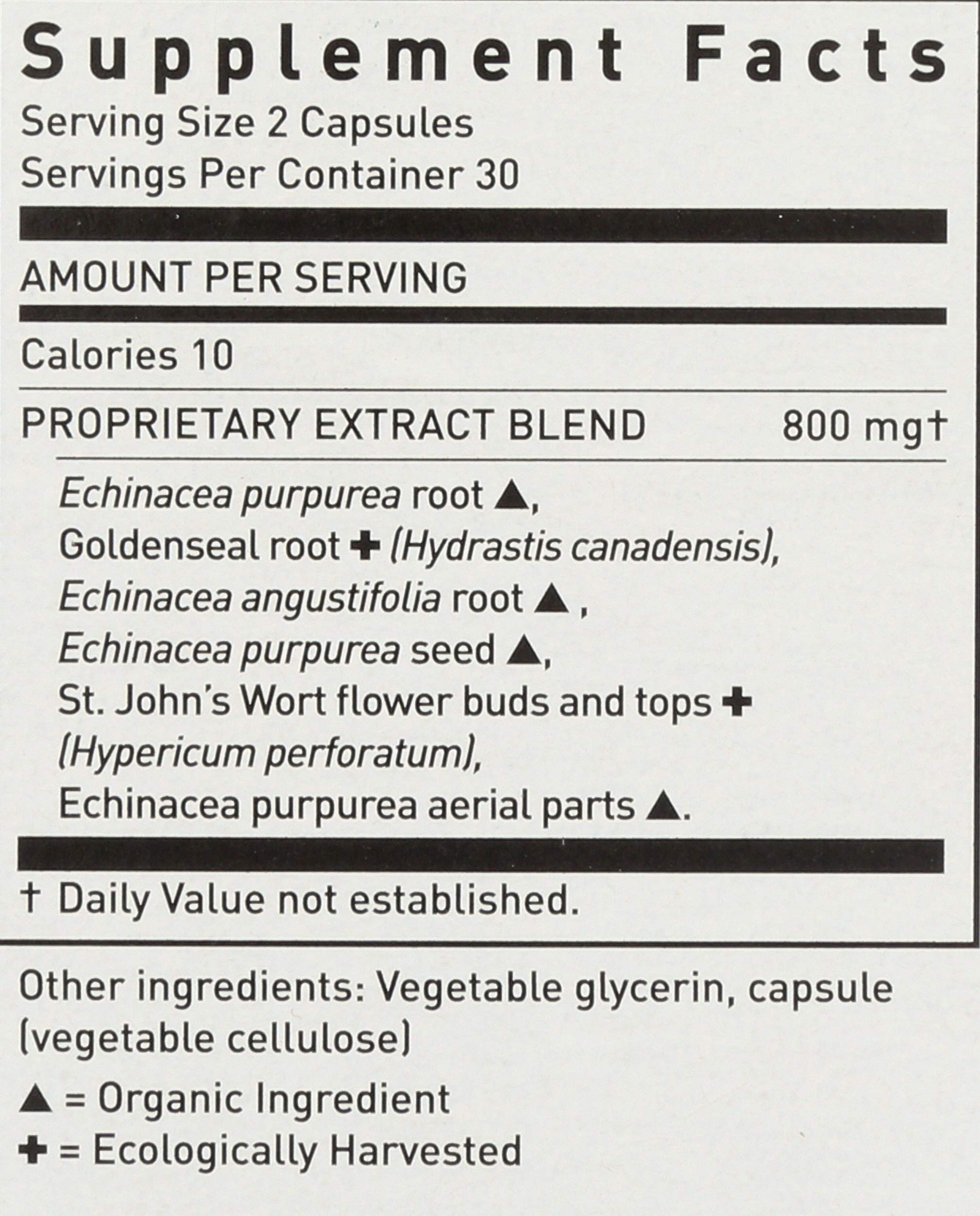 Echinacea Goldenseal for seasonal health