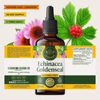 Echinacea Goldenseal for seasonal health