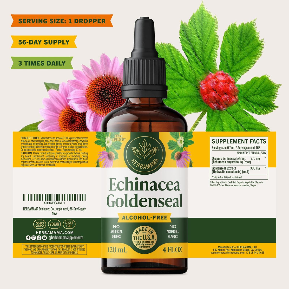 Echinacea Goldenseal for seasonal health