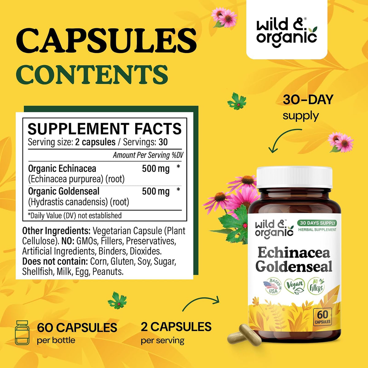 echinacea goldenseal for seasonal wellness