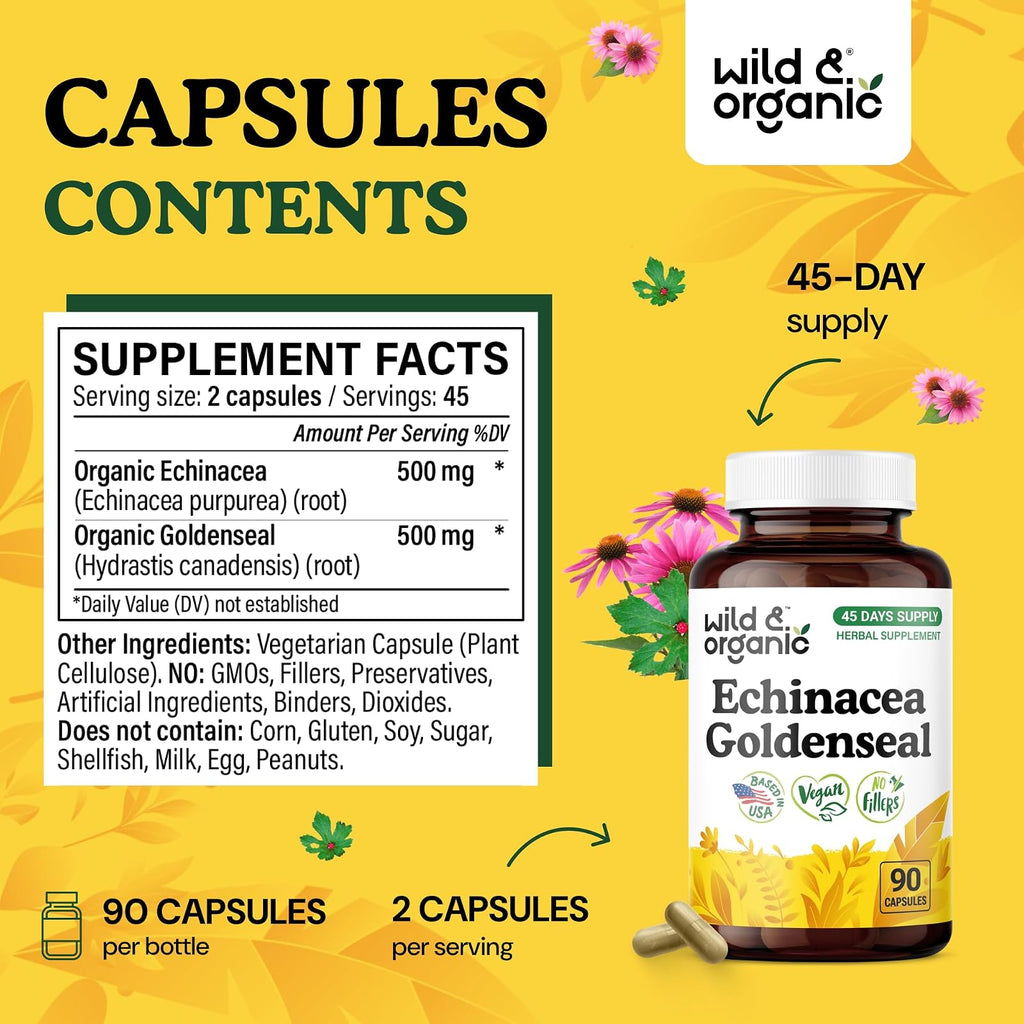 echinacea goldenseal for seasonal wellness