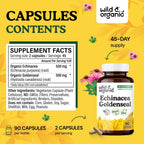 echinacea goldenseal for seasonal wellness