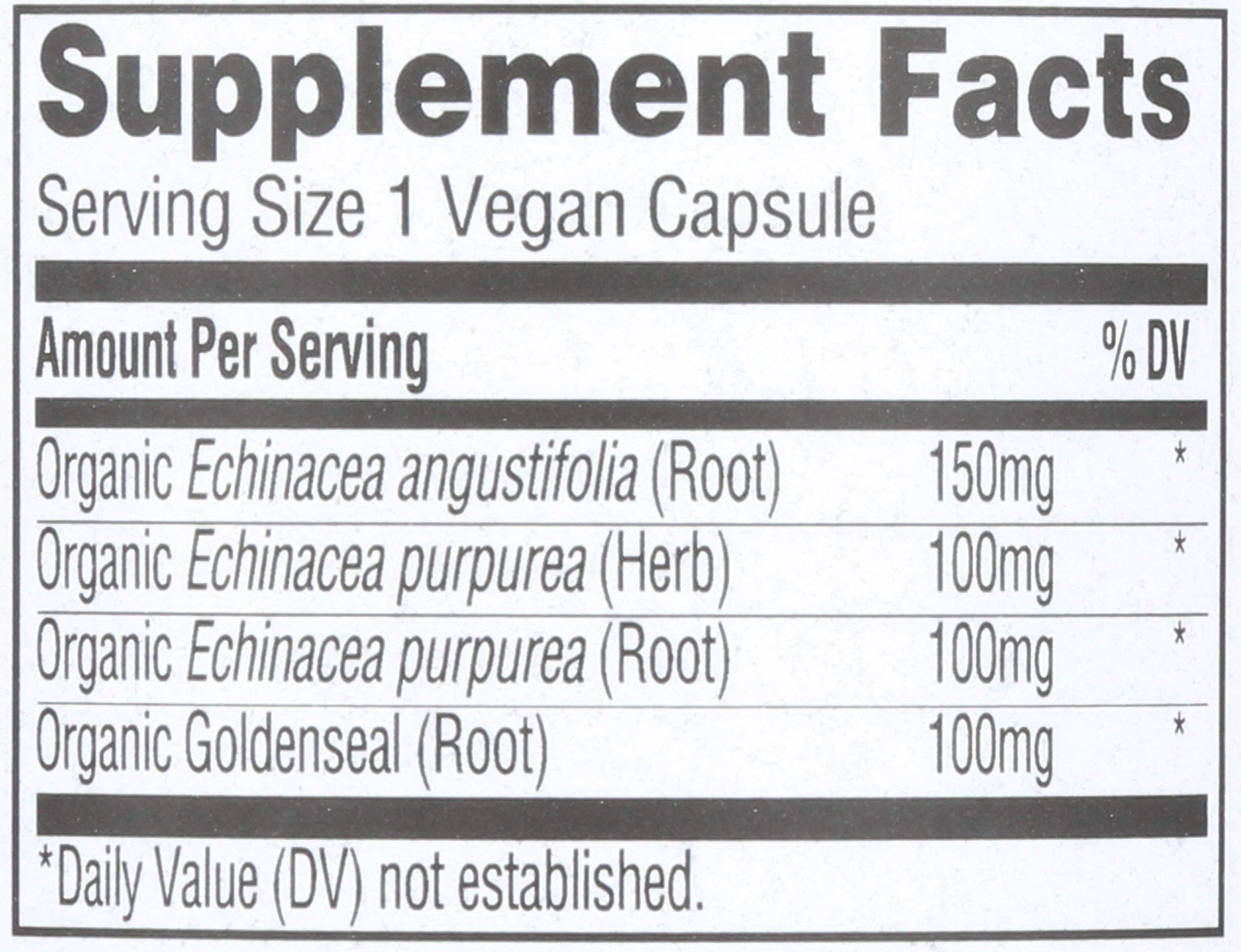 echinacea goldenseal for seasonal wellness