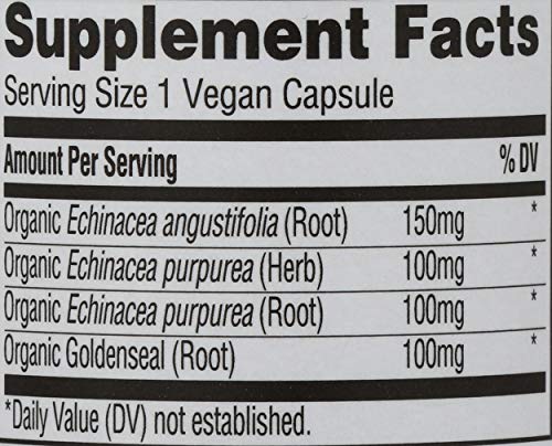 Echinacea Goldenseal immune booster