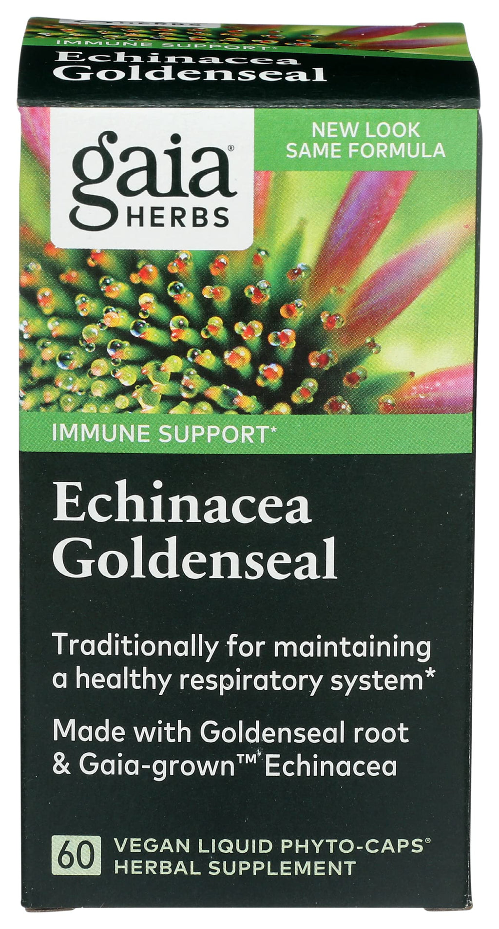 echinacea goldenseal immune support