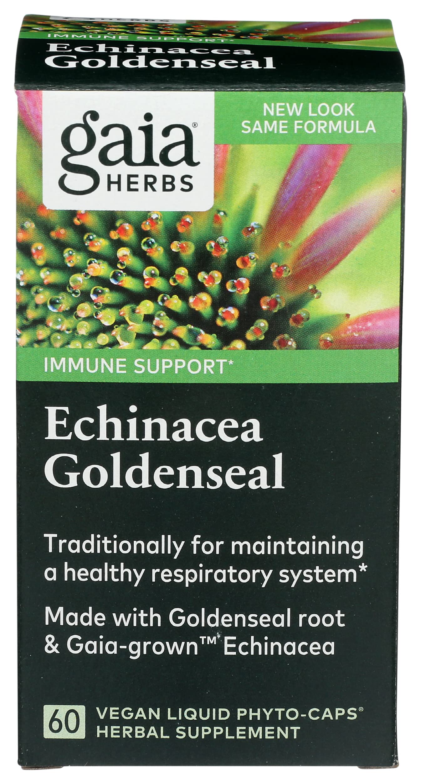 echinacea goldenseal immune support