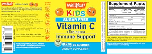 Echinacea gummies for everyday health