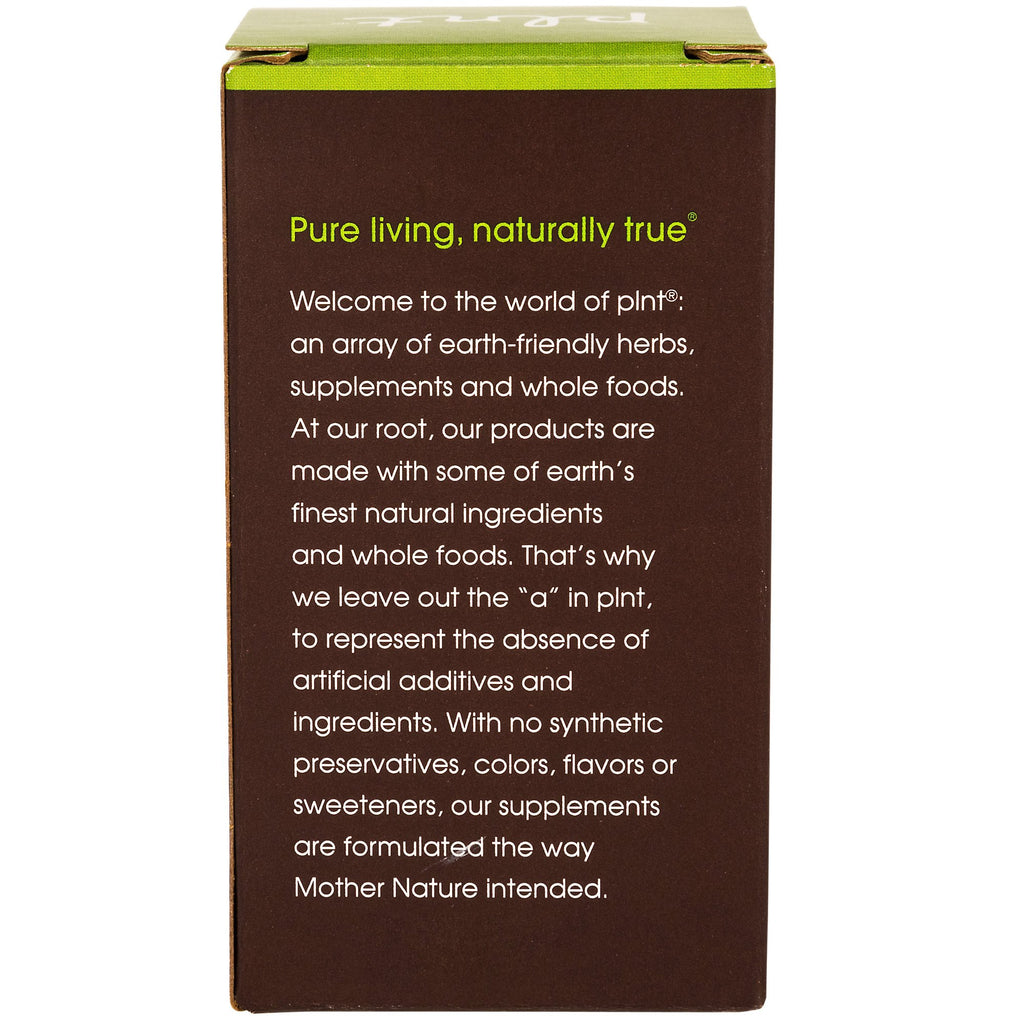 Echinacea health benefits for immunity