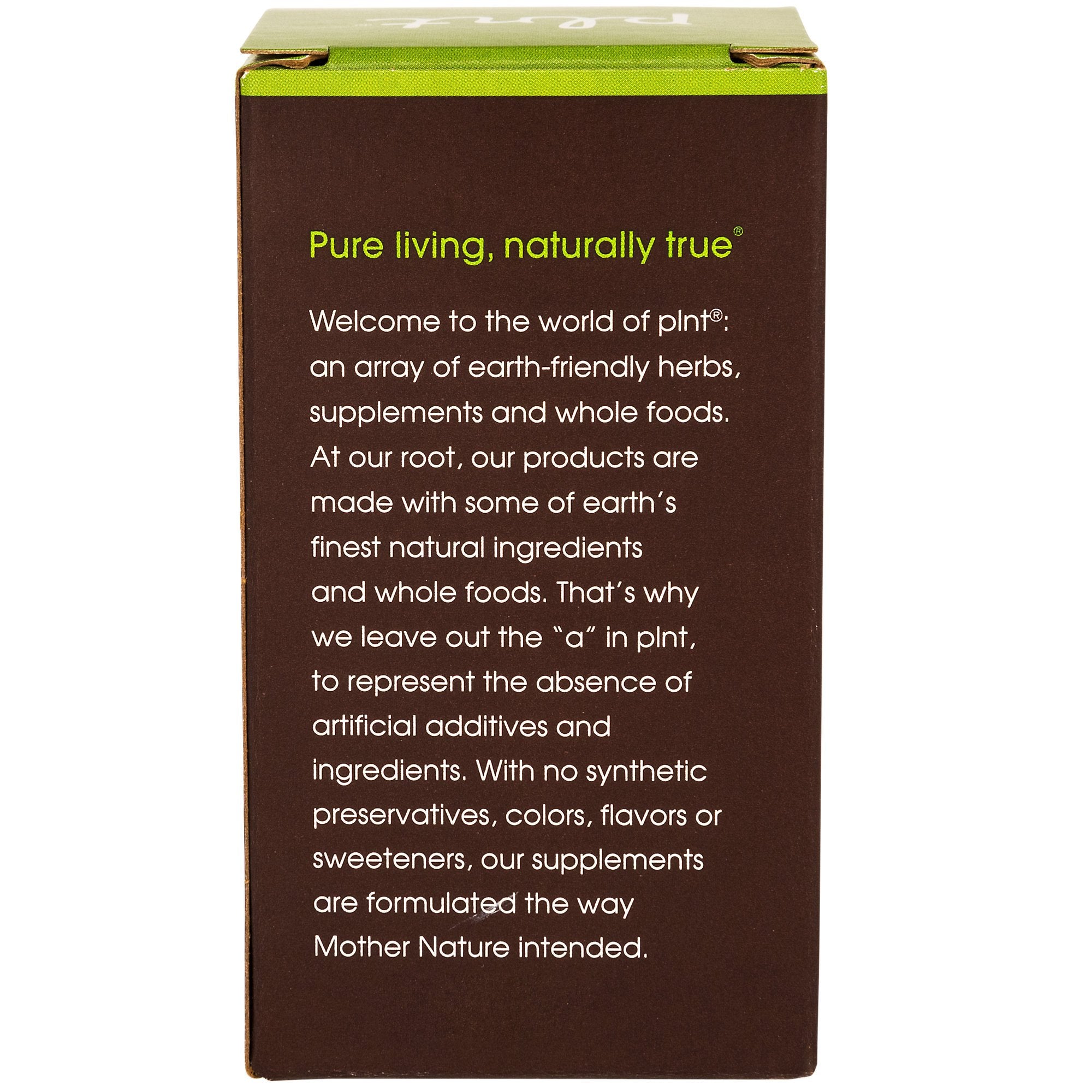 Echinacea health benefits for immunity