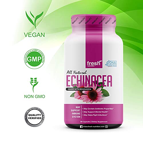 Echinacea health benefits for immunity