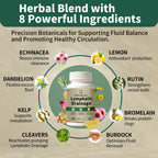 Echinacea herbal capsules for wellness