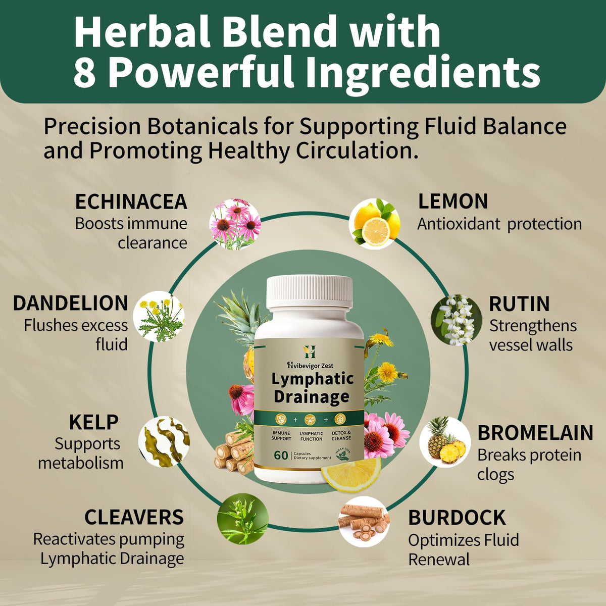Echinacea herbal capsules for wellness