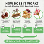 Echinacea herbal drops for detox