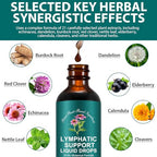 Echinacea herbal drops for wellness