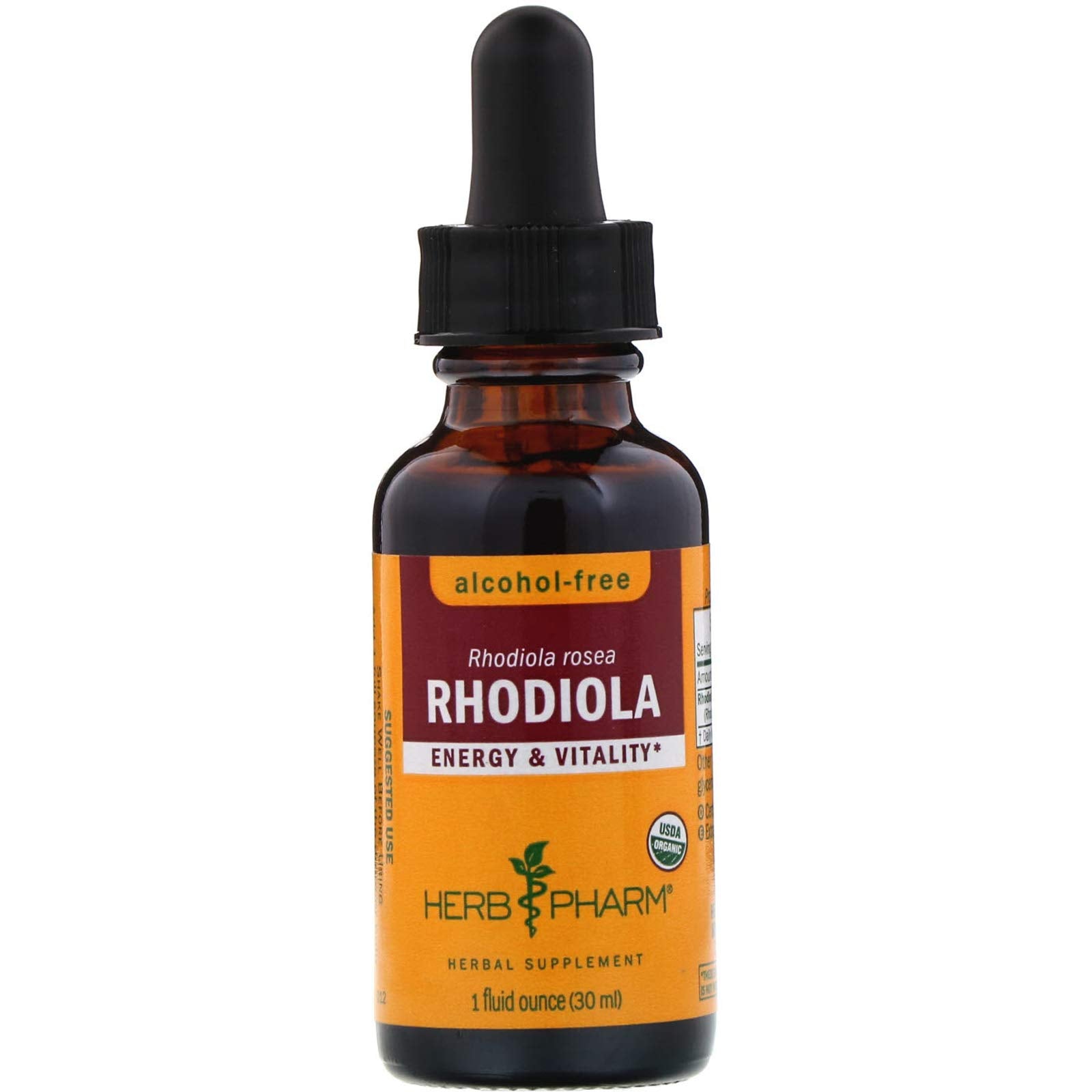 Echinacea herbal glycerite for wellness