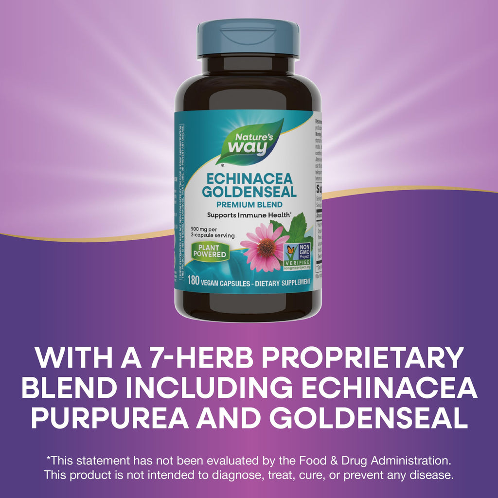 Echinacea herbal remedy for colds