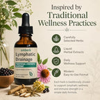 echinacea herbal remedy for detox