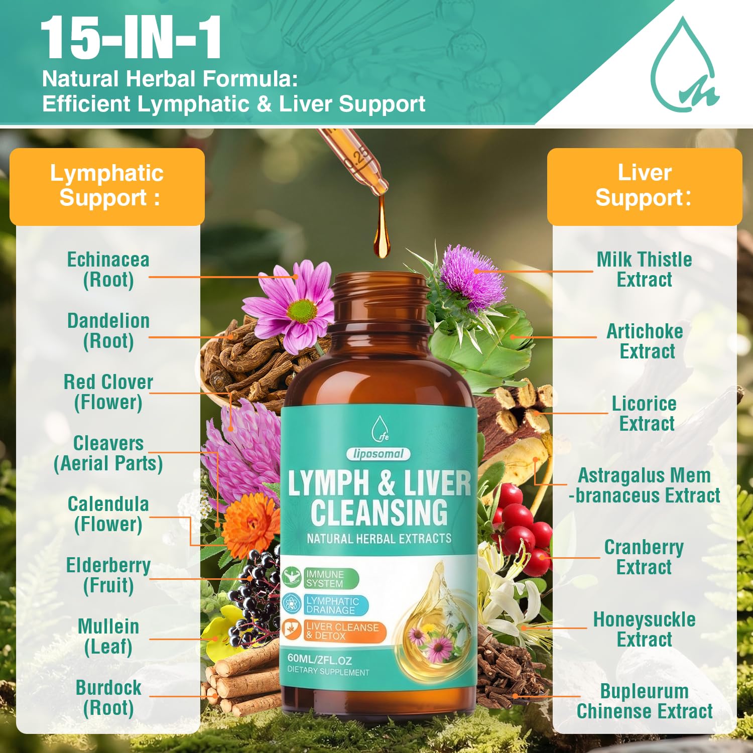 Echinacea herbal remedy for detox