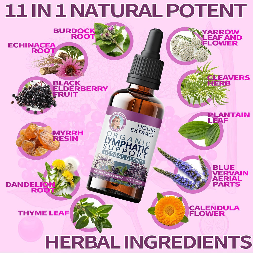 Echinacea herbal remedy for immunity