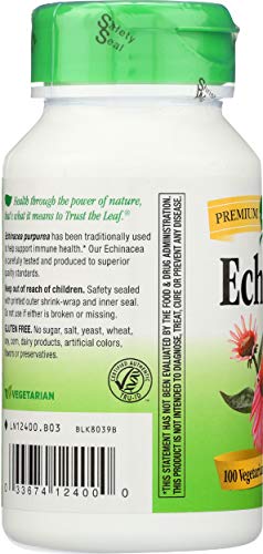 echinacea herbal remedy for overall health