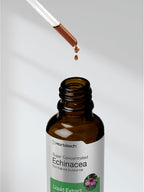 Echinacea herbal remedy for stress relief