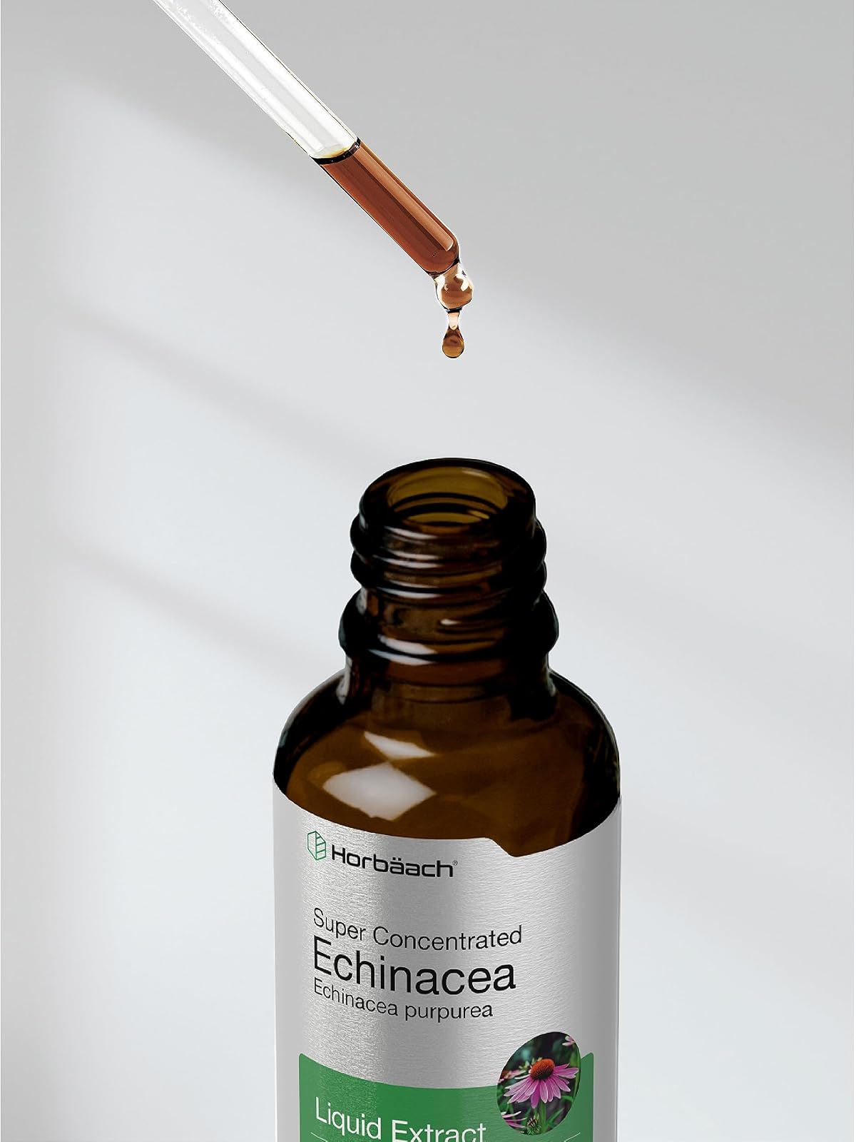 Echinacea herbal remedy for stress relief