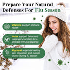 Echinacea herbal remedy for wellness