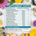 Echinacea herbal remedy for wellness