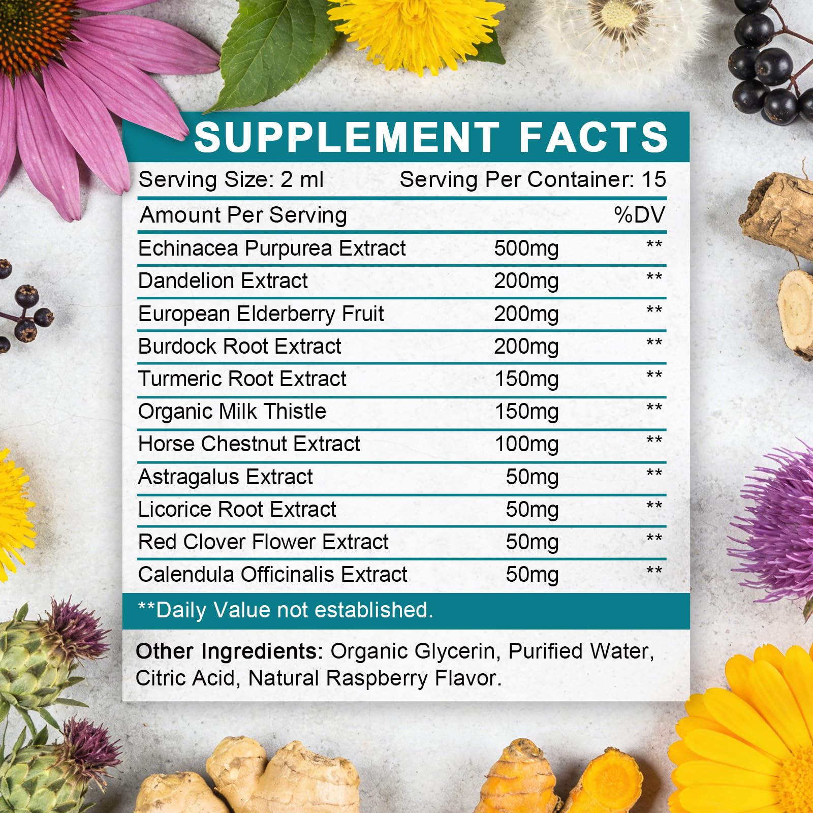 Echinacea herbal remedy for wellness