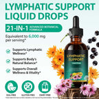 Echinacea herbal remedy for wellness
