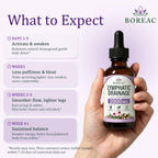 Echinacea herbal remedy for wellness
