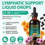 Echinacea herbal remedy for wellness