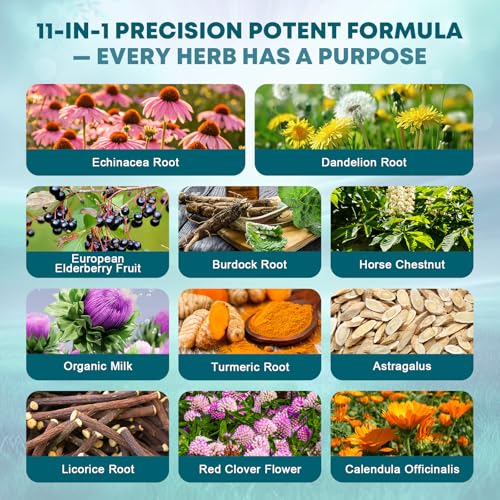 Echinacea herbal remedy for wellness