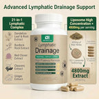 echinacea herbal supplement benefits