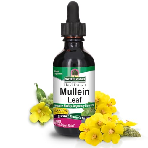 Echinacea herbal supplement benefits