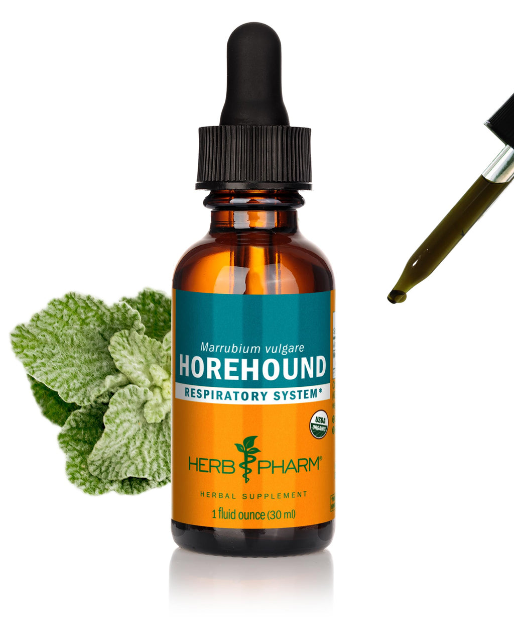 Echinacea herbal supplement for immunity