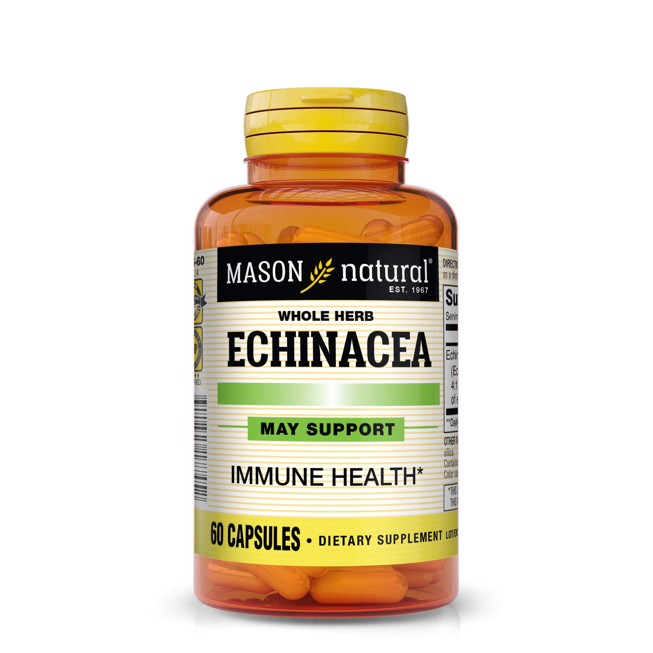 echinacea herbal supplement for immunity