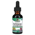 echinacea herbal supplement for immunity